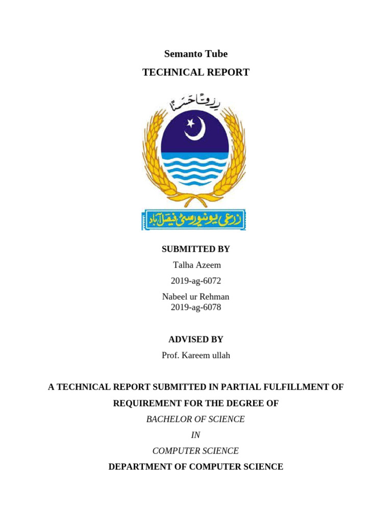 Final Year Technical Report | PDF | Usability | Databases