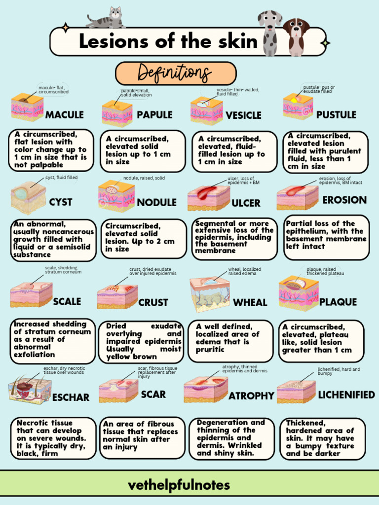 Skin Lesions Graphic PDF 1 | PDF