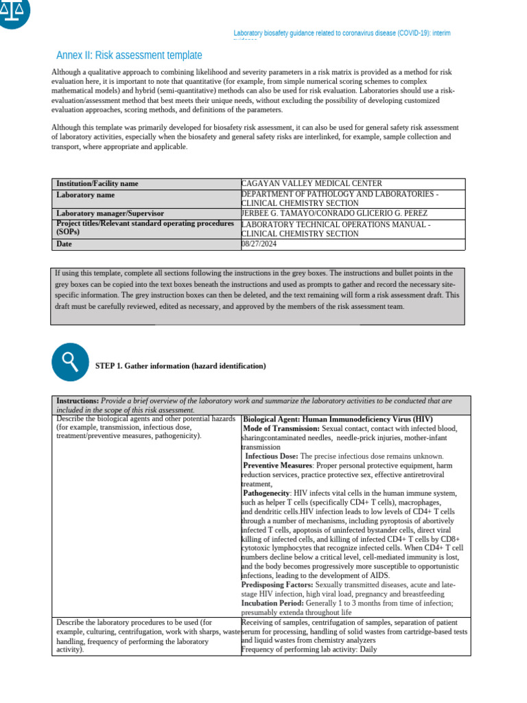 WHO Risk Assessment Template Annex2 1 | PDF