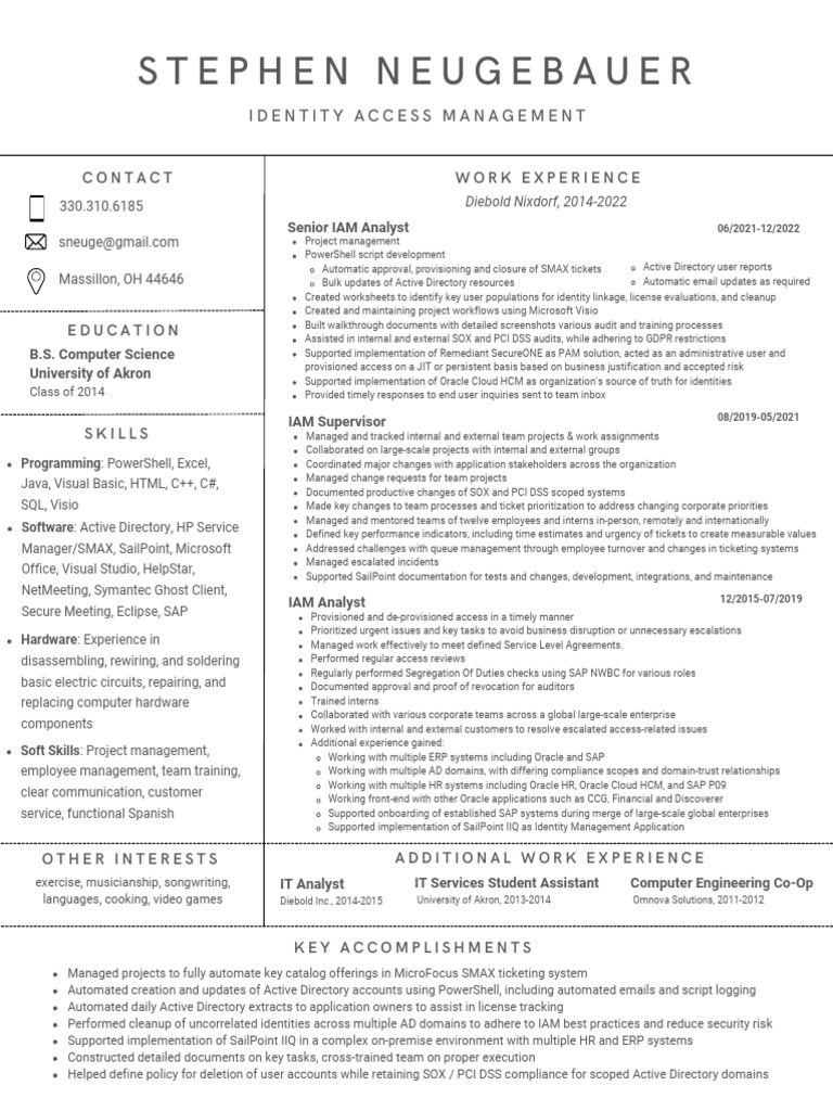 Dice Resume CV Stephen Neugebauer | PDF