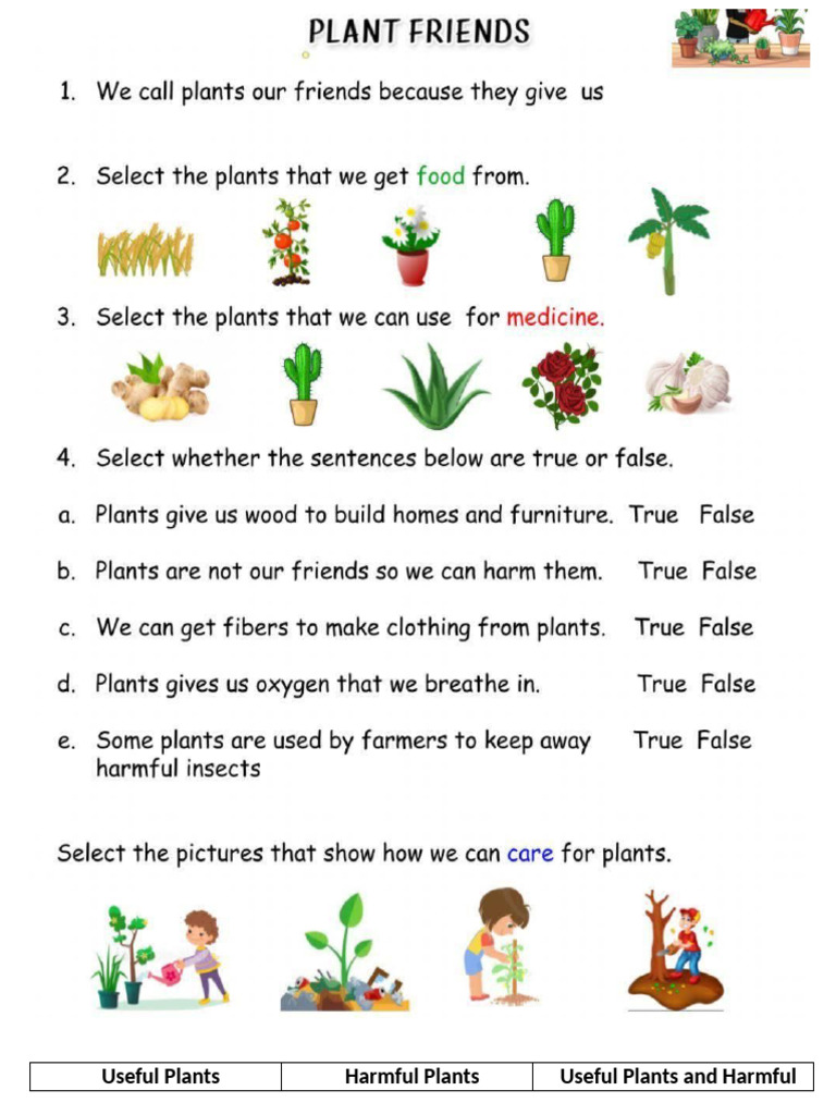 Useful and Harmful Plants | PDF