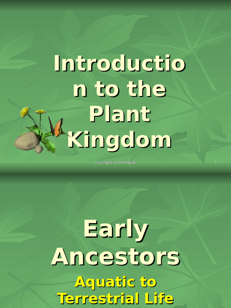 1.1 Introduction To Plants 1 | PDF