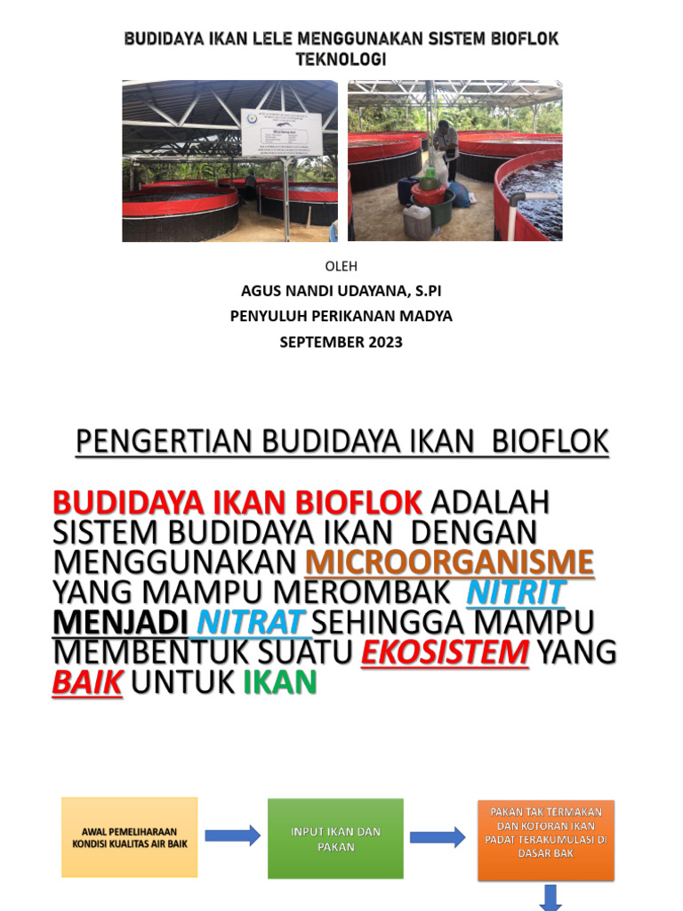 Materi Lele Bioflok | PDF