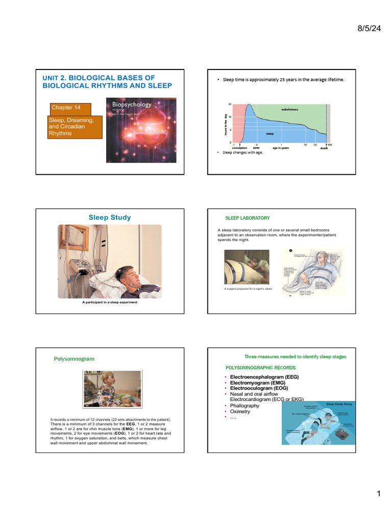 Biological Rhythms | PDF