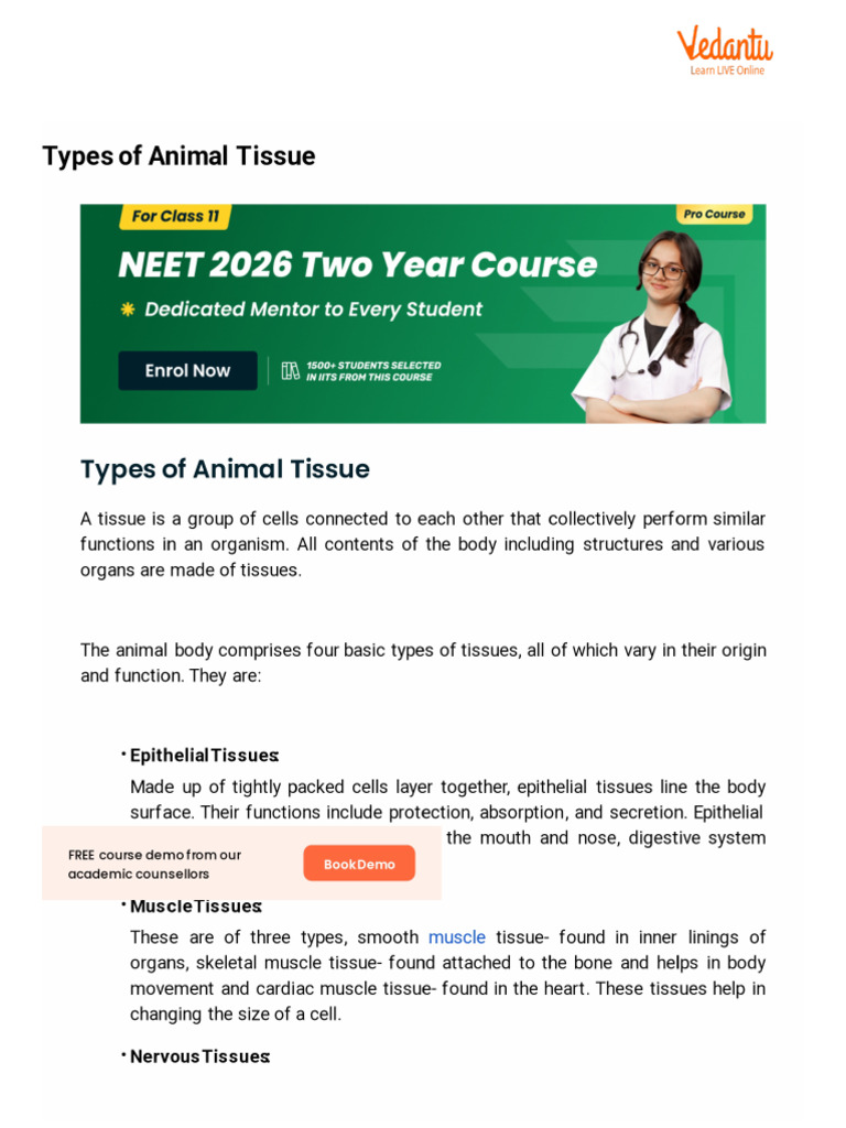 Types of Animal Tissue | PDF