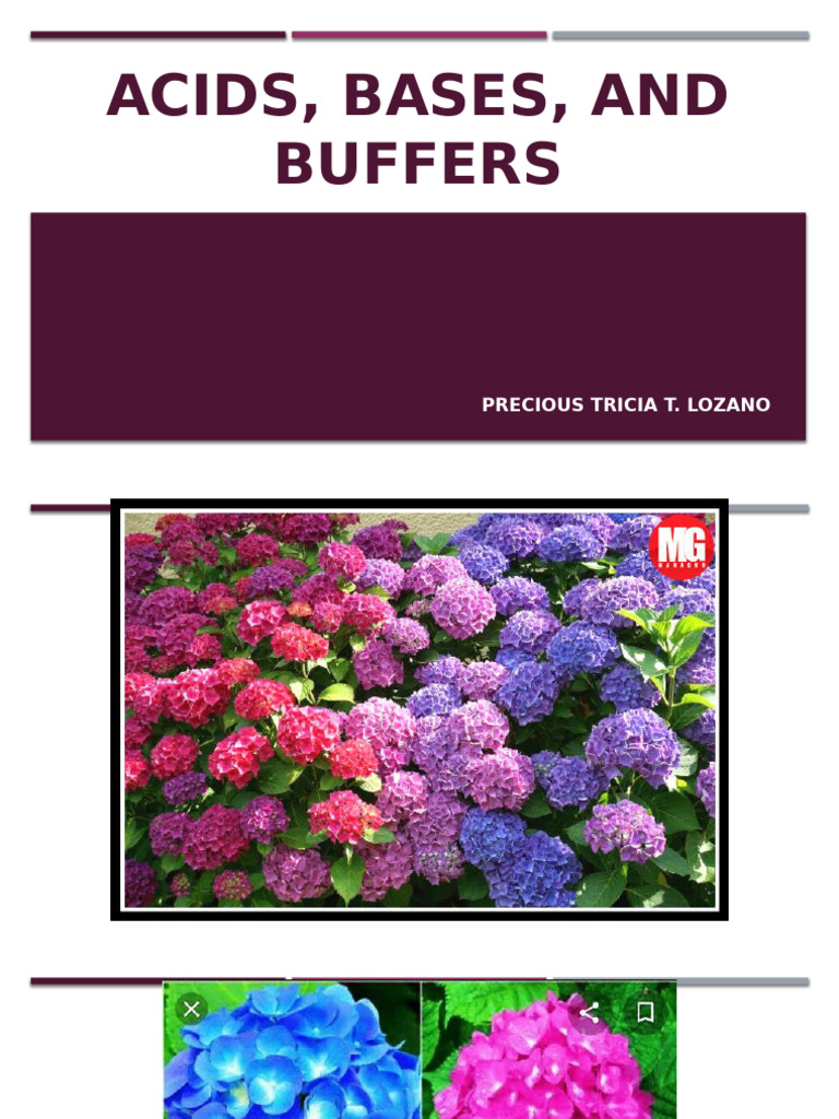 Acids, Bases, and Buffers - PTTL | PDF
