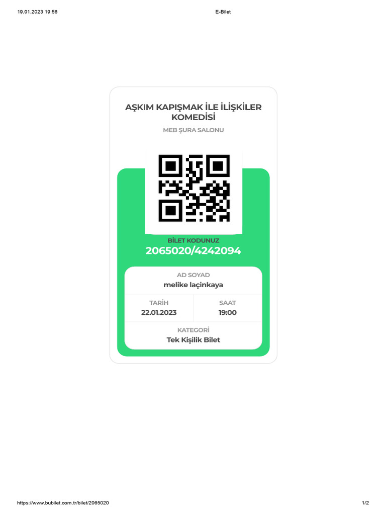 E Bilet | PDF