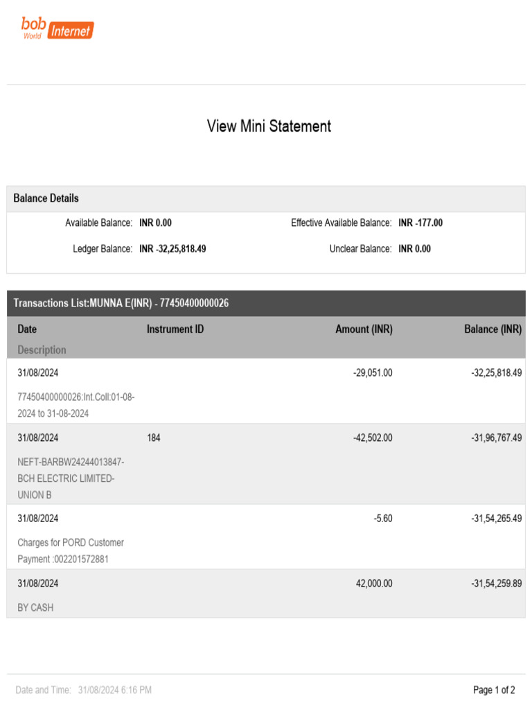 View Mini Statement: Balance Details | PDF