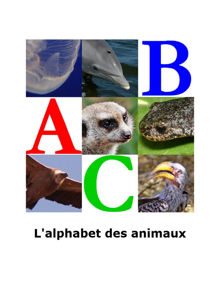 Alphabet_des_animaux | PDF