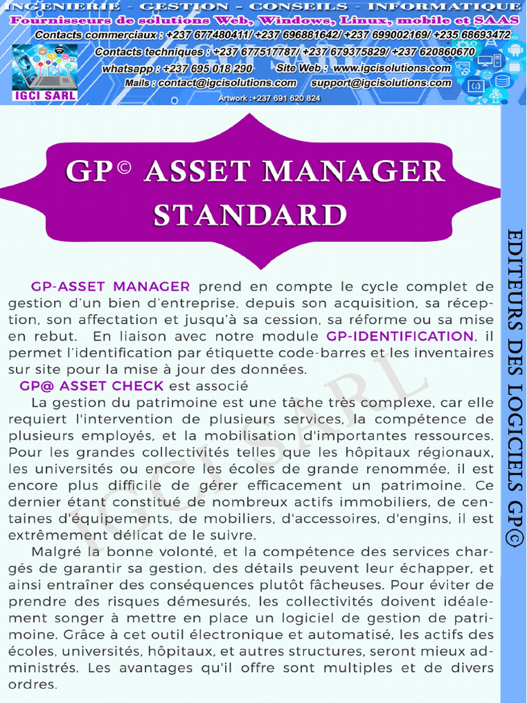 GP Asset Manager Standard | PDF