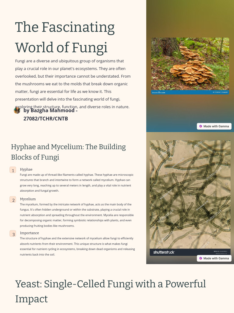 The-Fascinating-World-of-Fungi.pptx | PDF