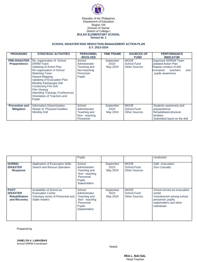 Action Plan DRRM | PDF