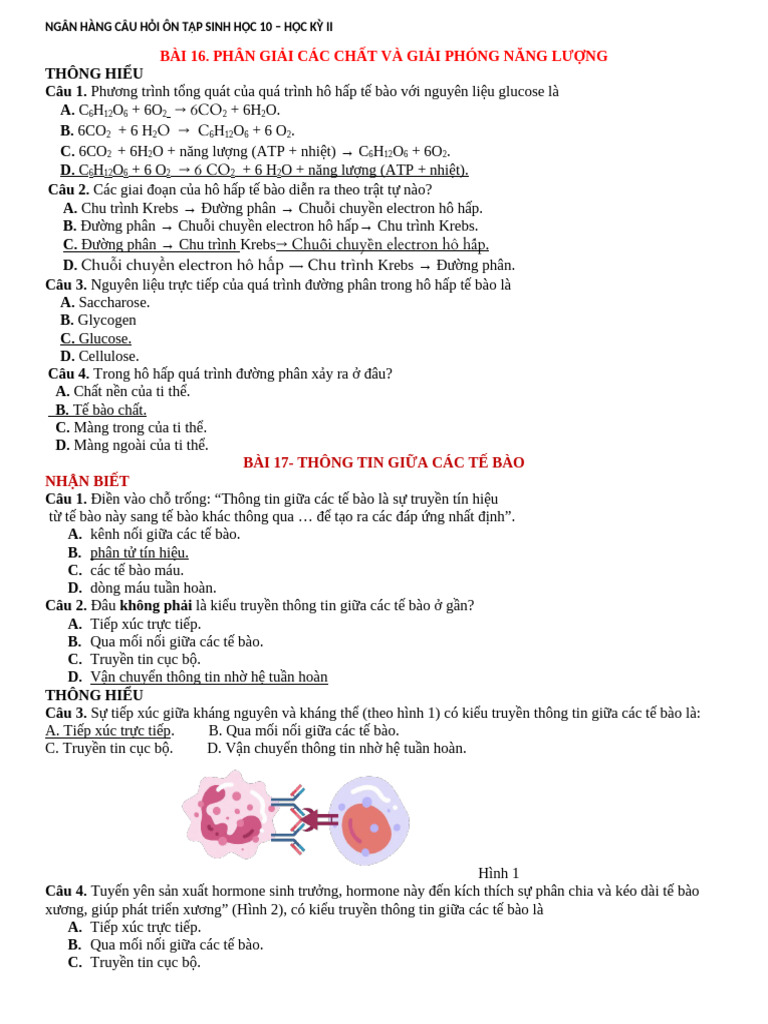 NHCH - Sinh 10 - Hkii - Chinh Sua | PDF