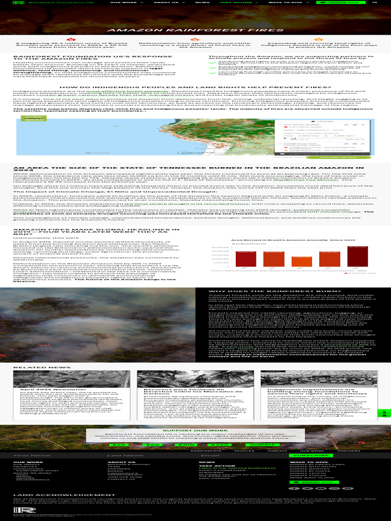 Amazon Rainforest Fires: 2023 Impact | PDF | Amazon Rainforest | Drought