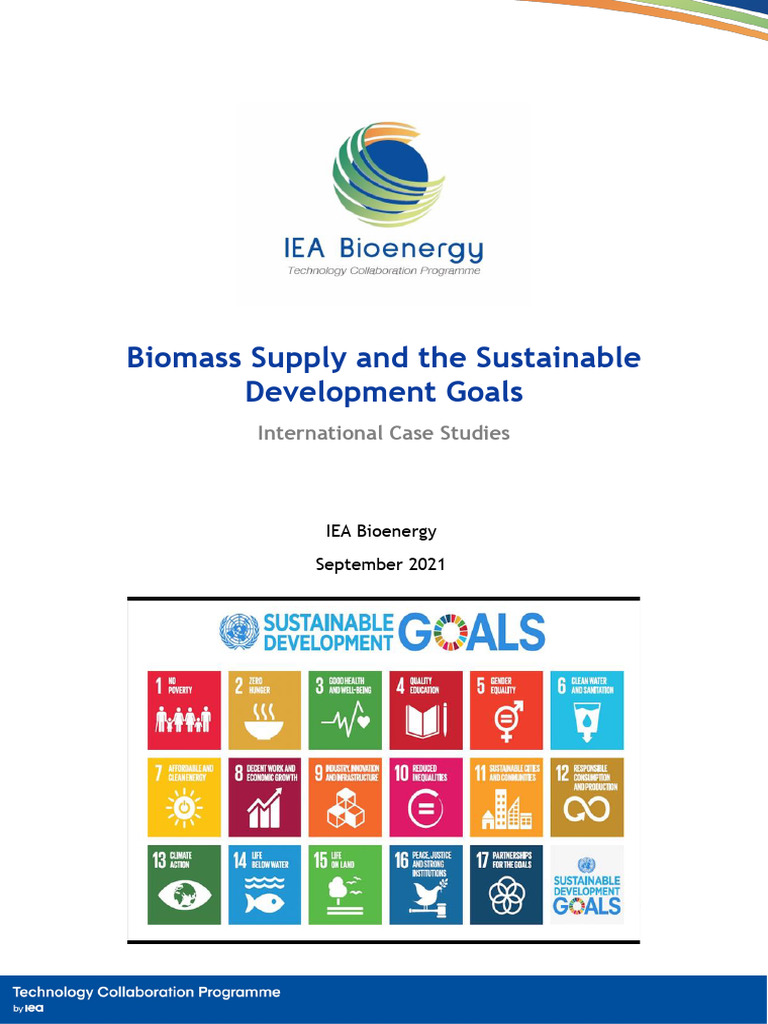IEA Bioenergy SDG Case Study Report FINAL 1 | PDF