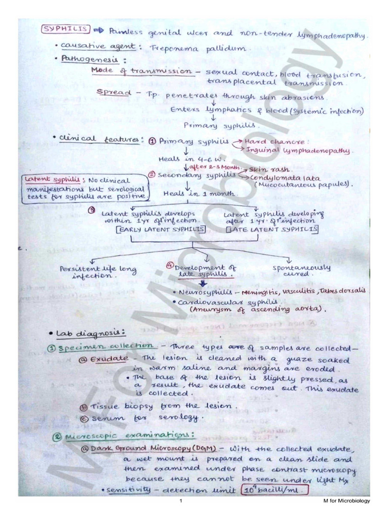 Syphilis | PDF