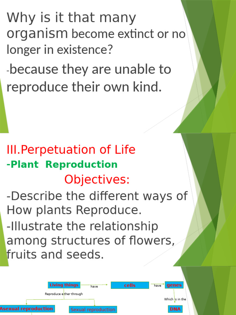 Life Science Lecture 4 | PDF