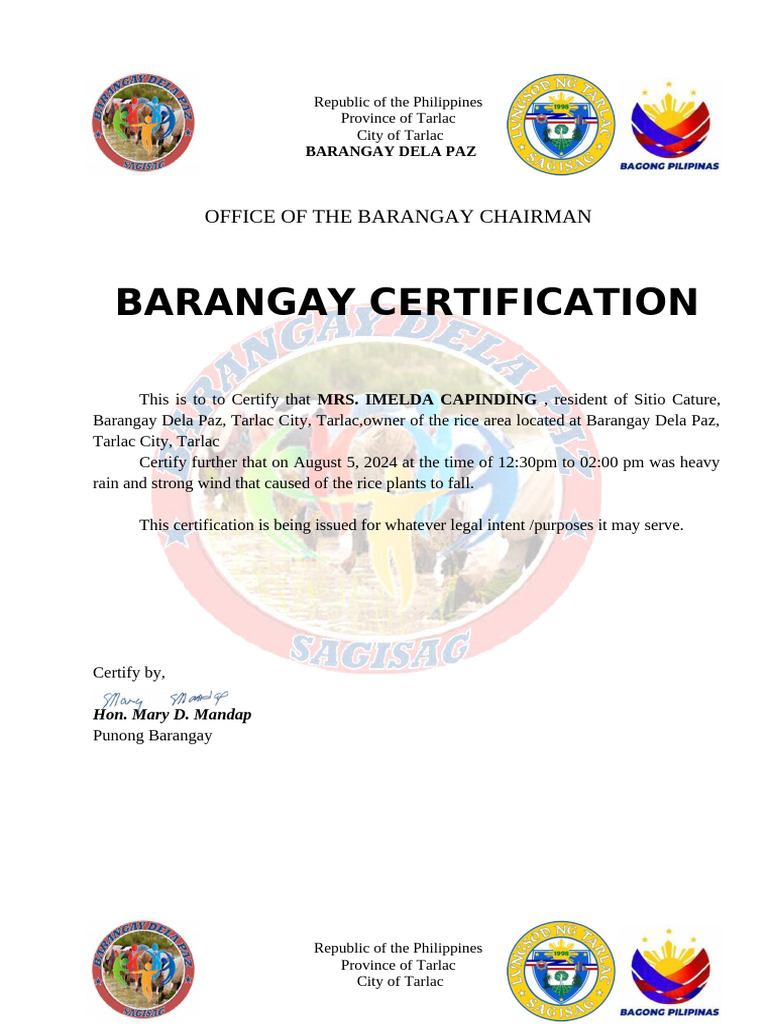 Certification Typhoon Affected | PDF