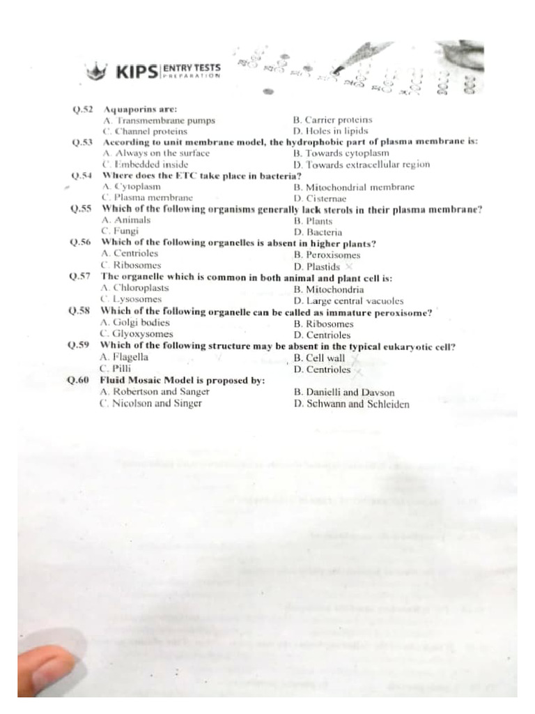 Kips CTS and Flps 2023 | PDF