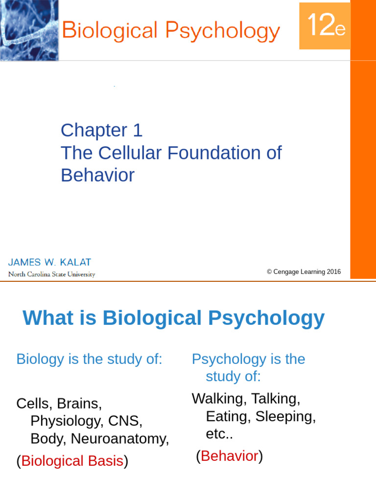 Chapter 1 Beh Neuroscience Fall 2024 | PDF