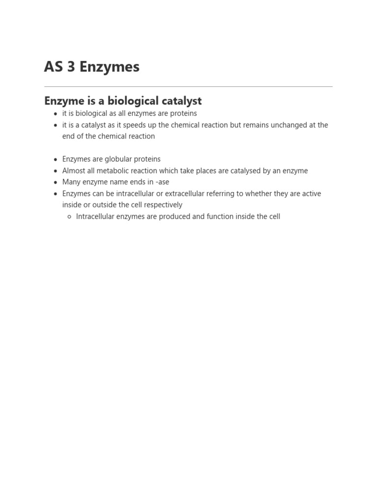 AS 3 Enzymes | PDF