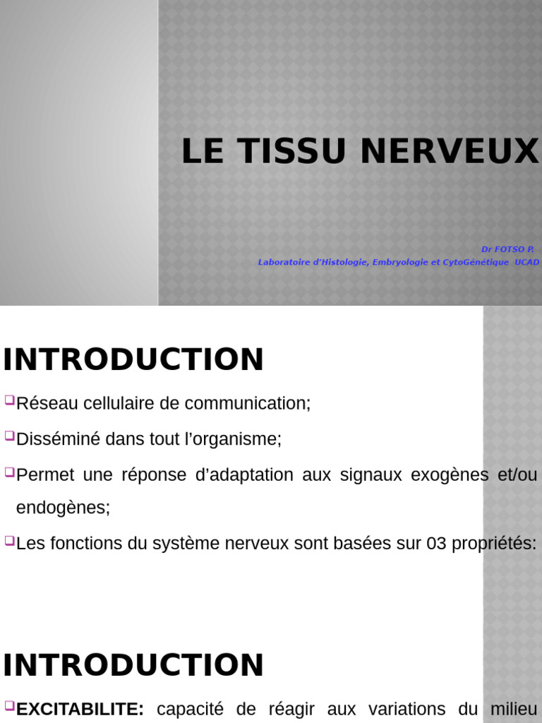 Le Tissu Nerveux | PDF