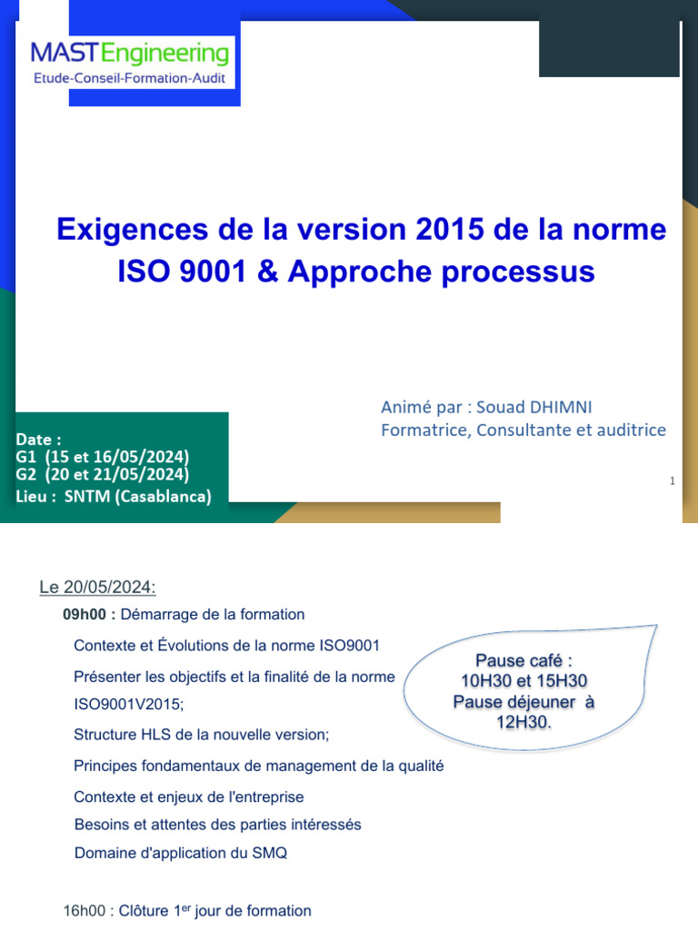 Lecture Pas À Pas de La Norme ISO 9001 V2015 - SNTM | PDF