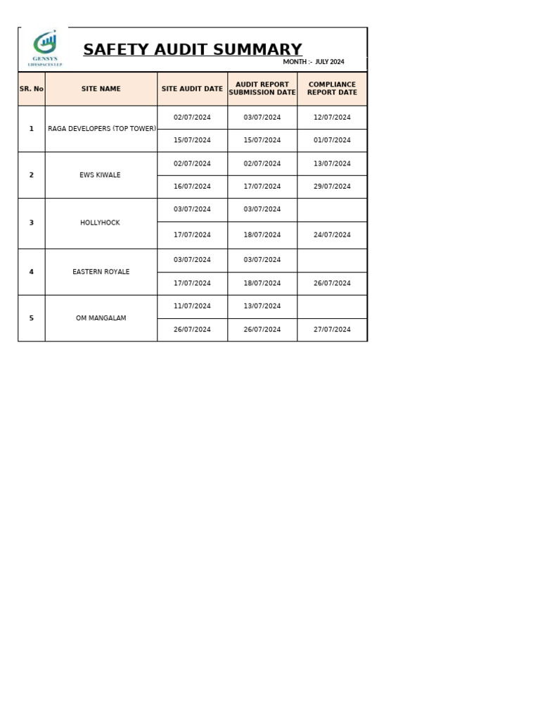 Safety Audit Summary | PDF