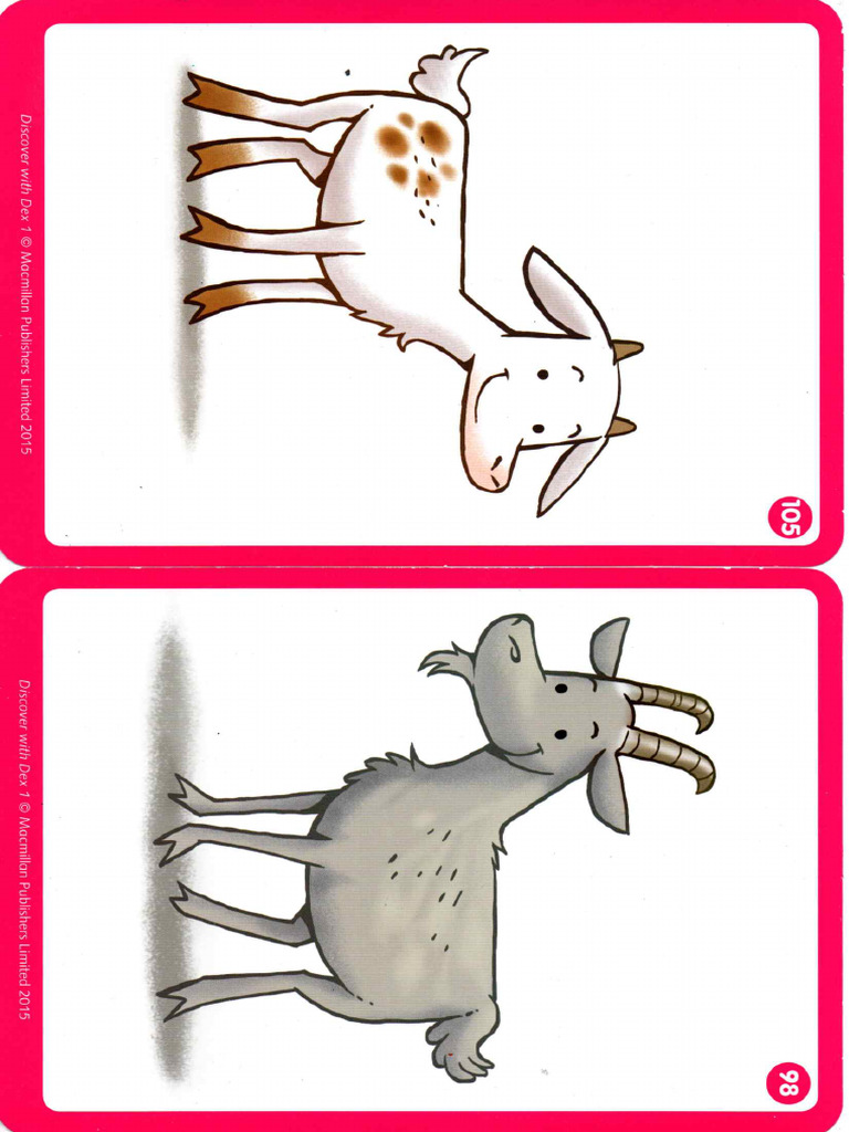Dex Farm Animal Pairs | PDF
