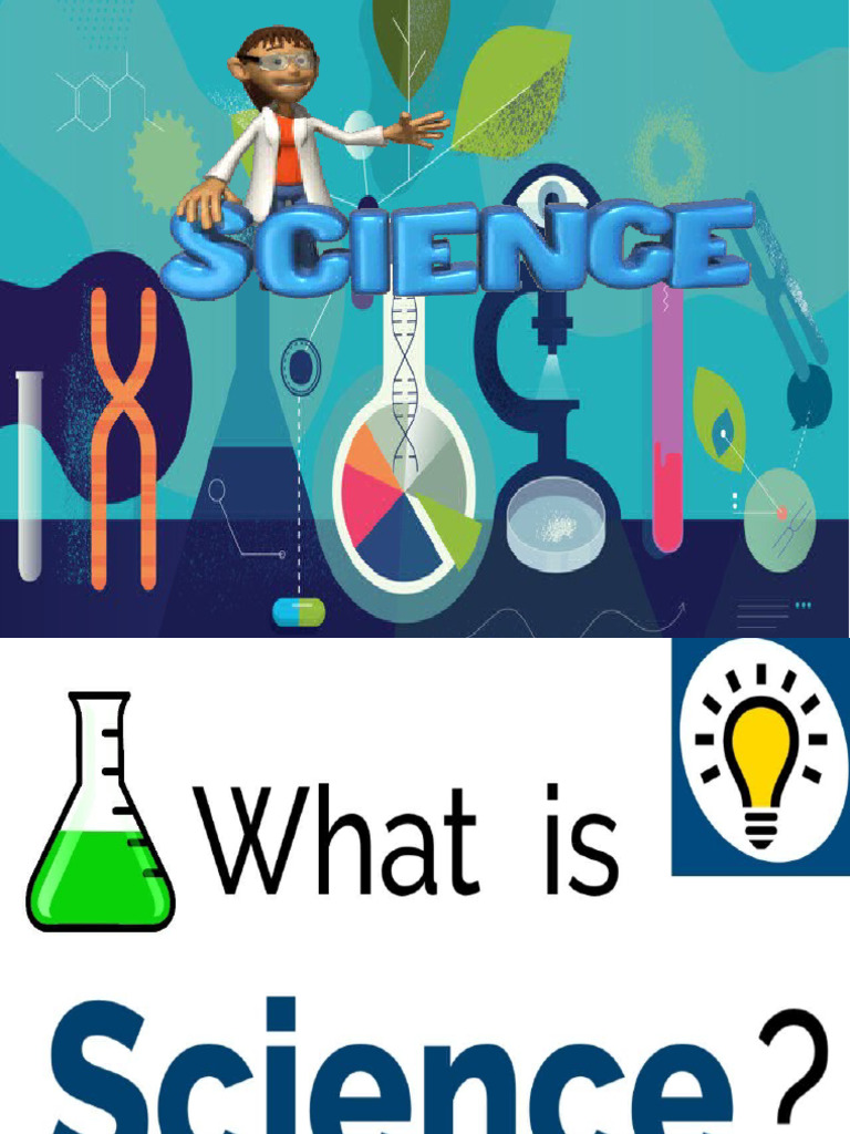Branches of Science | PDF