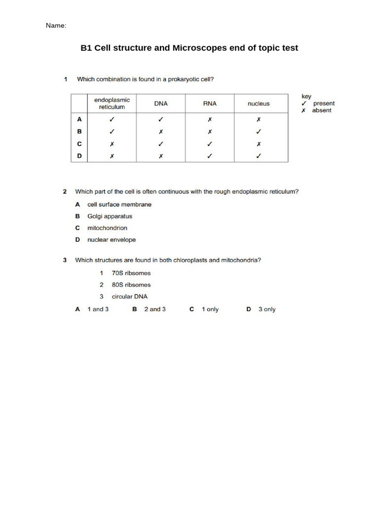 B1 Cell Structure and Microscopes End of Topic Test | PDF