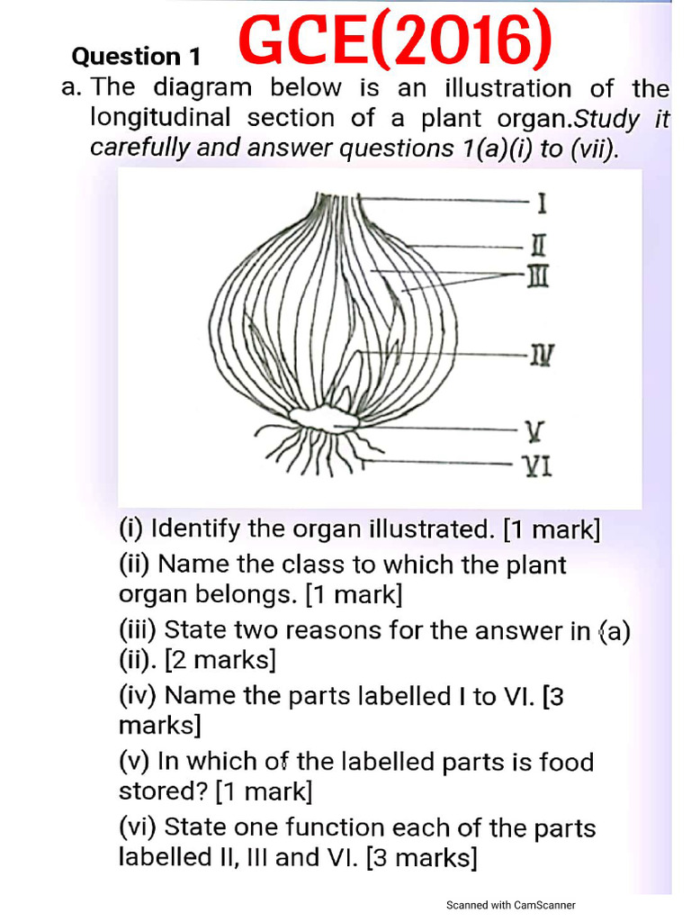 Practical Biology | PDF