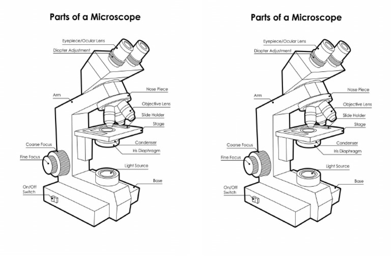 Performance Task Science | PDF