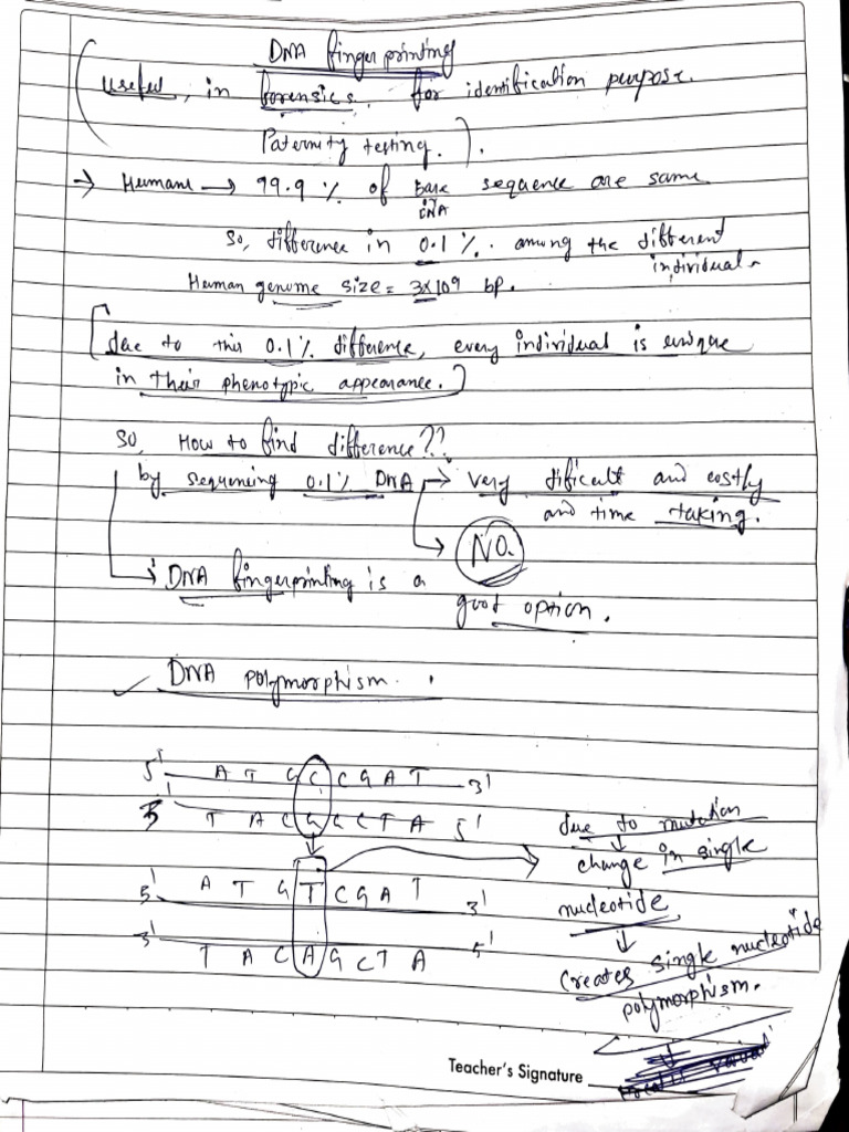 Class Notes On DNA Fingerprinting | PDF