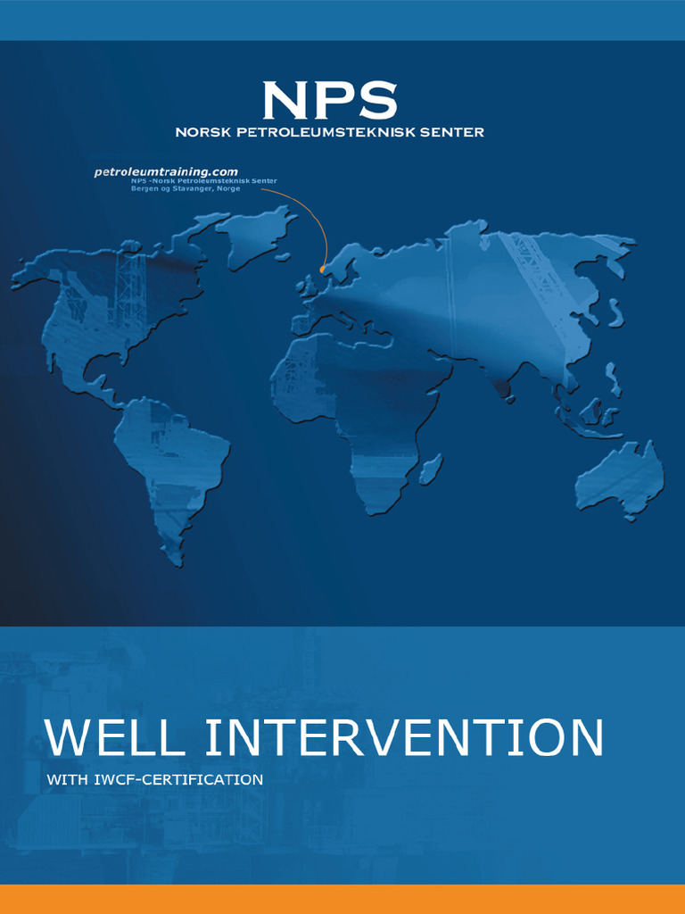 NPS Well-Intervention | PDF