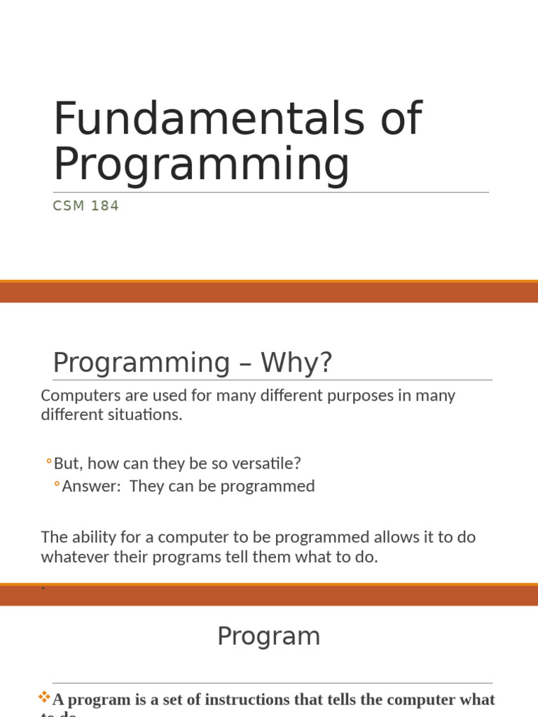 Lecture 5 Fundamentals of Programming | PDF