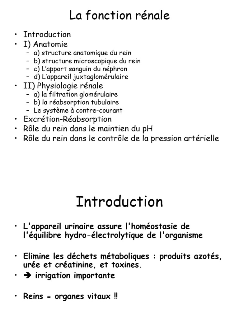 Cours La Fonction Rénale 2013 | PDF