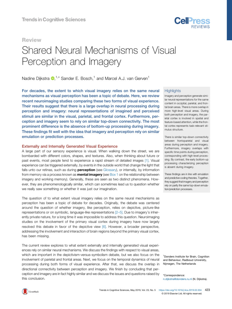 Shared Neural Mechanisms For Visual Perception and Imagery | PDF