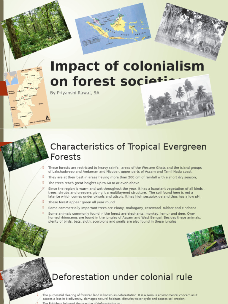 Impact of Colonialism On Forest Societies | PDF