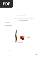 Class 5-Science Notes-The Nervous System | PDF | Brain | Nerve