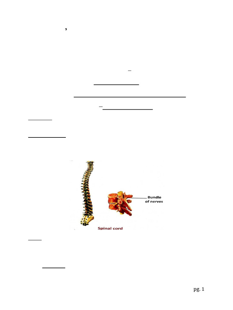 Class 5 Science Worksheet No. 8 | PDF | Brain | Self-Improvement