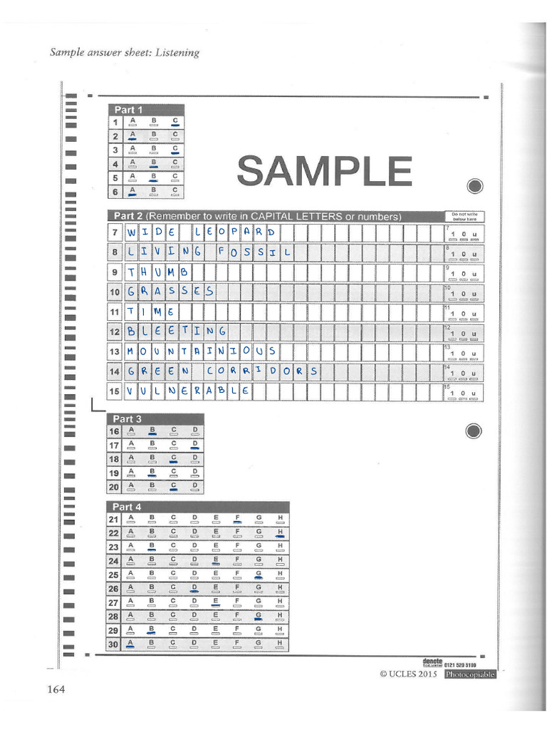 Cpe Answer Sheet | PDF