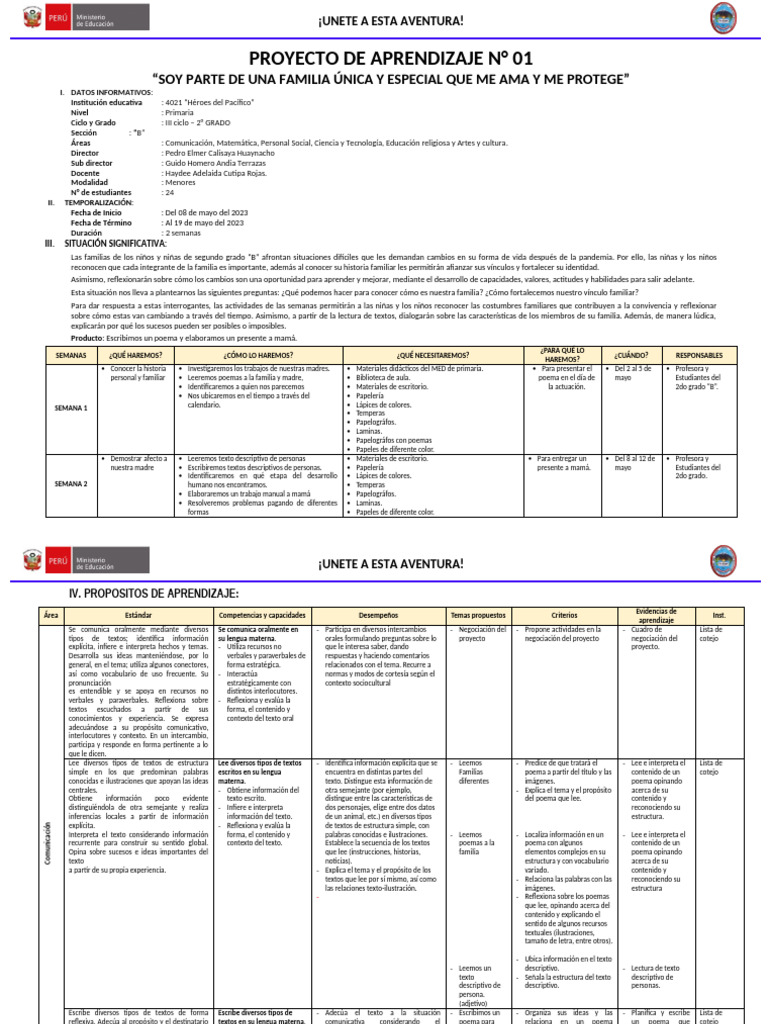 PROYECTO DE APRENDIZAJE N° 01 | PDF