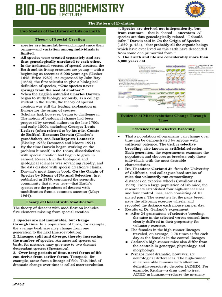 The Pattern of Evolution | PDF