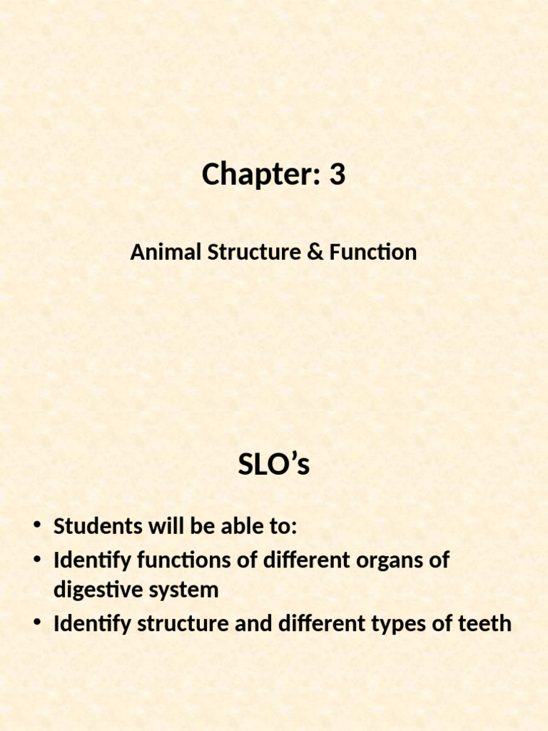 CH 3 PPT Day 1-1 | PDF