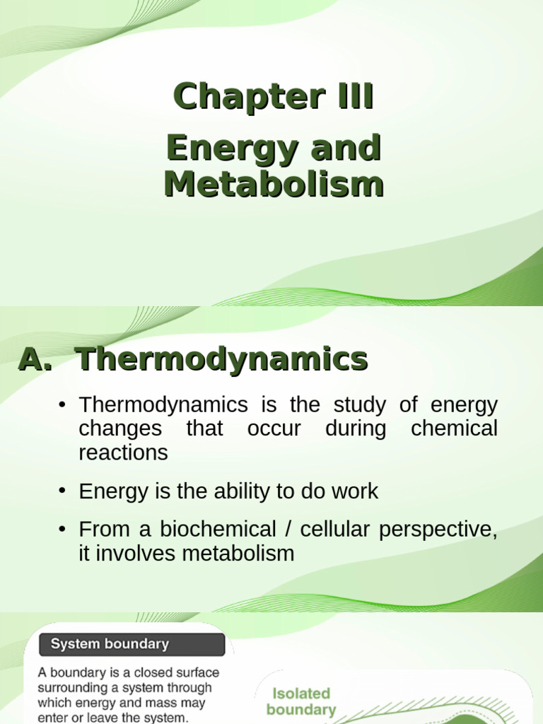 Biochemistry III. Energy and Metabolism | PDF