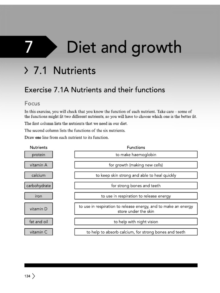 Chapter 7 Exercise | PDF