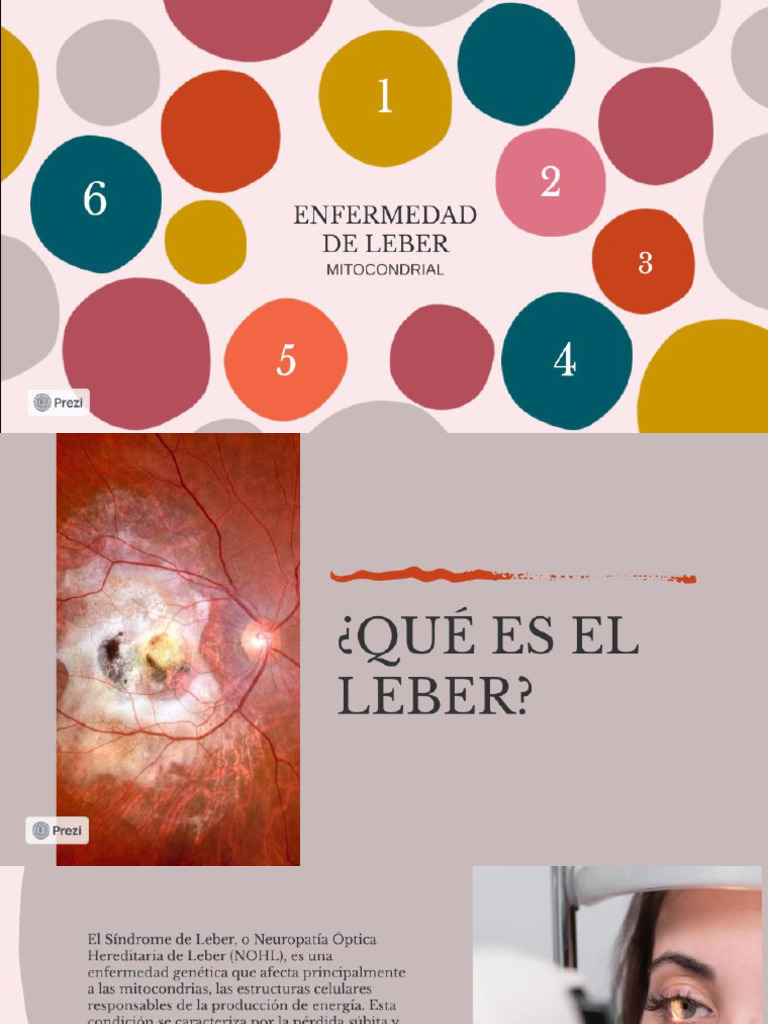LEBER | PDF