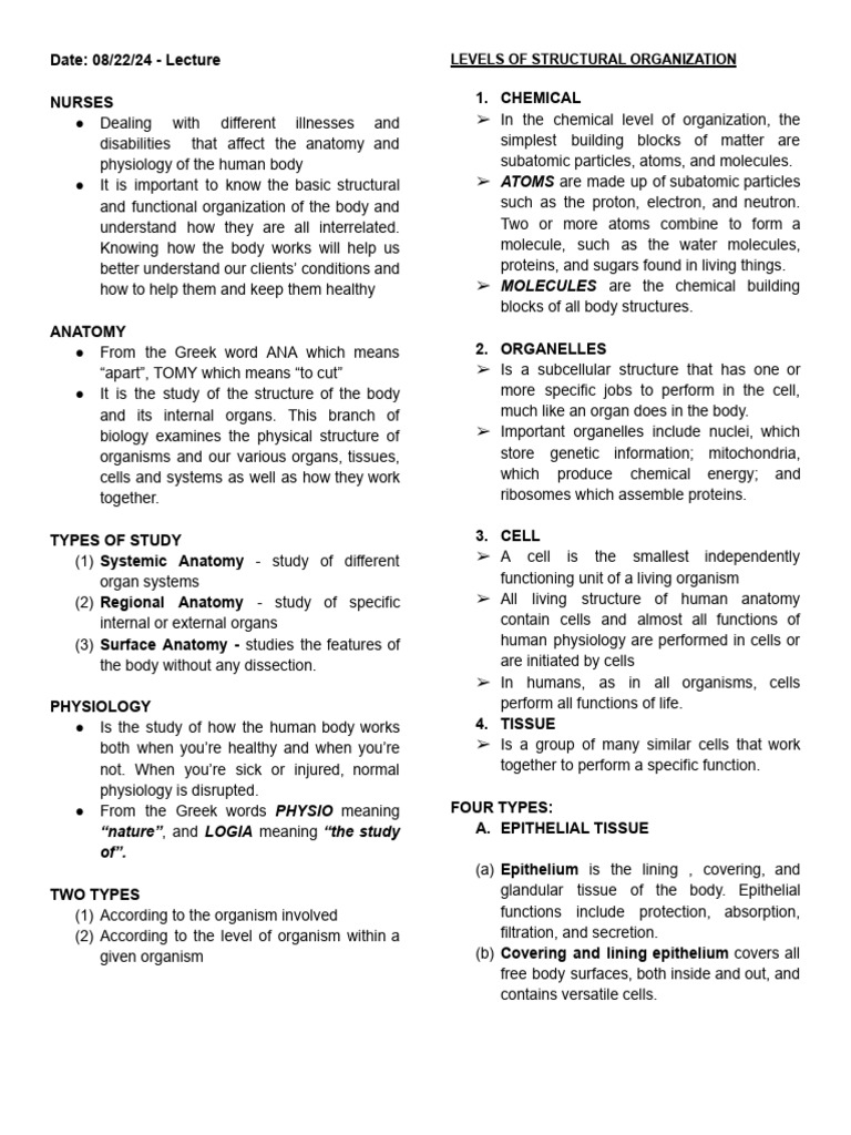 Anaphy Notes | PDF