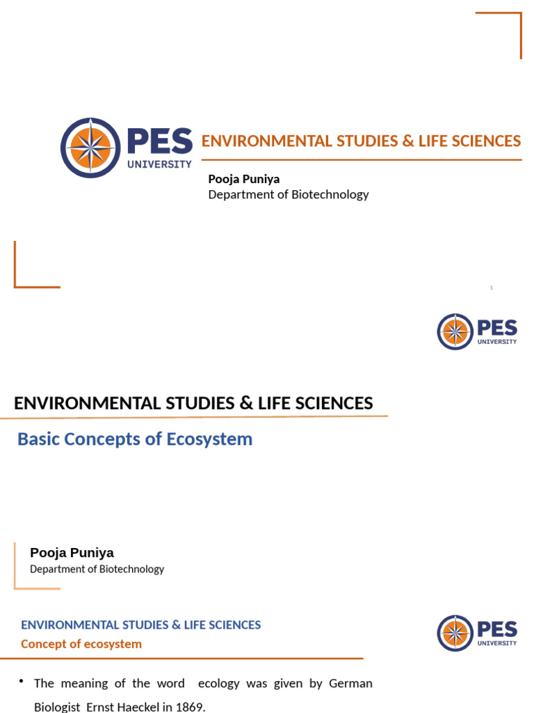 Basic Concepts of Ecosystem | PDF | Food Web | Ecosystem